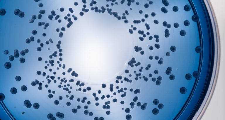 Home - BLIS Technologies - probiotic manufacturers