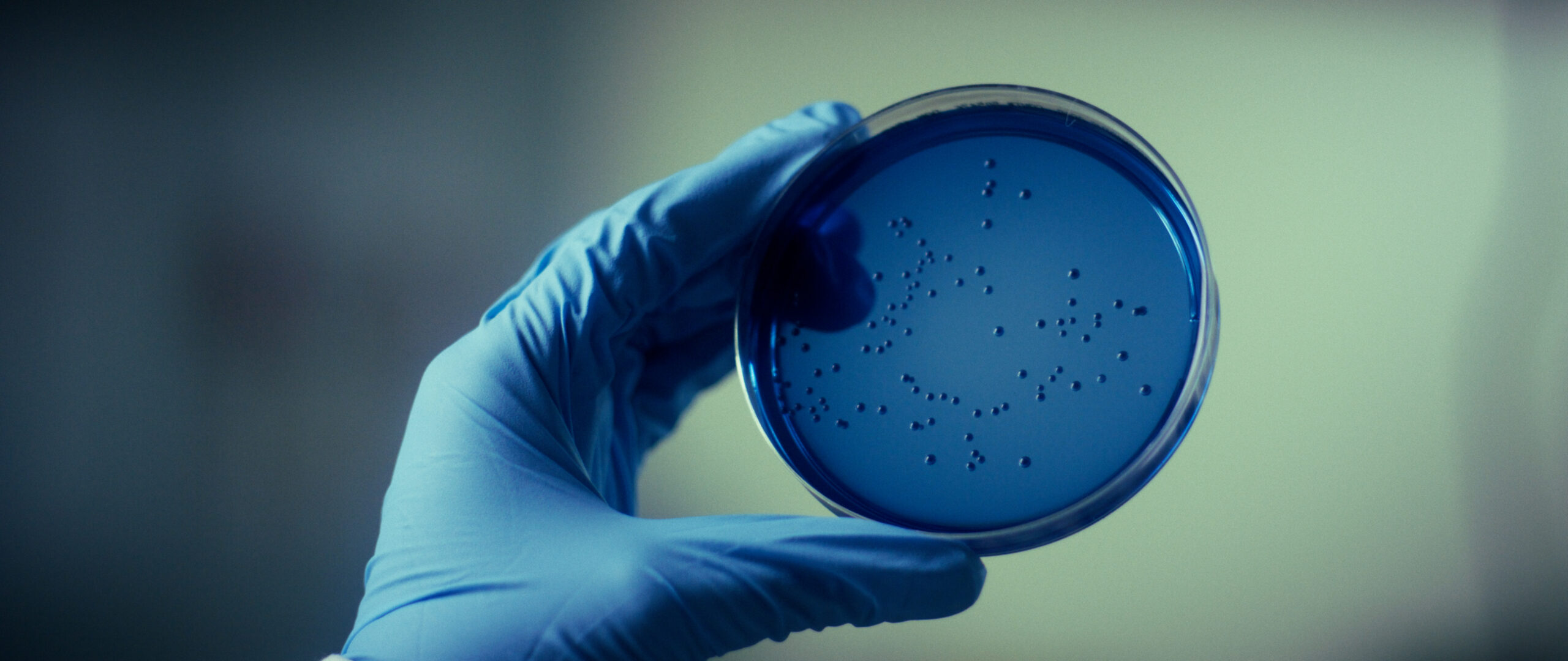 BLIS Q24 - BLIS Technologies - probiotic manufacturers